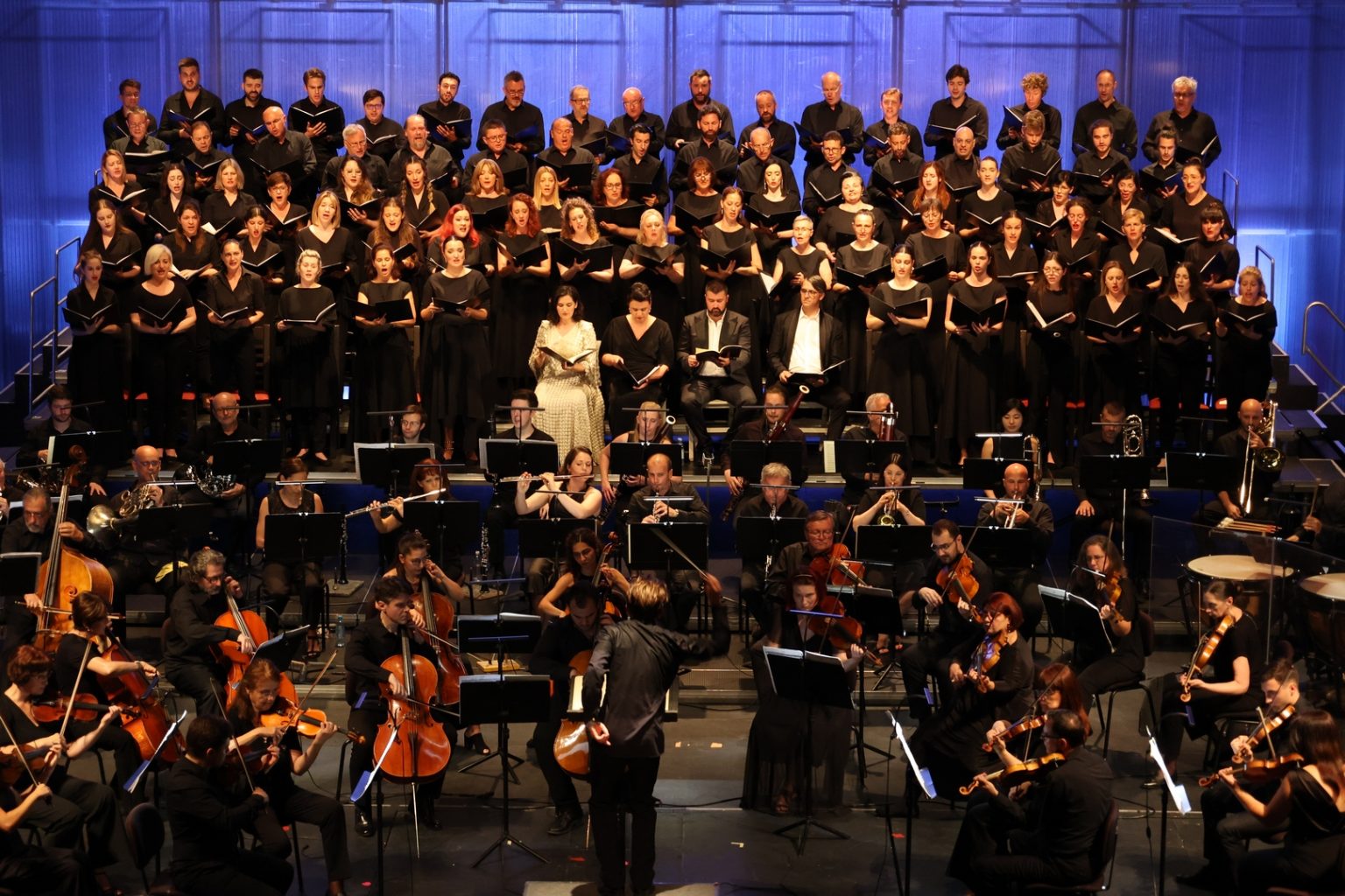 Zatvorene Riječke ljetne noći, Nagrada publike Odi radosti - MojaRijeka